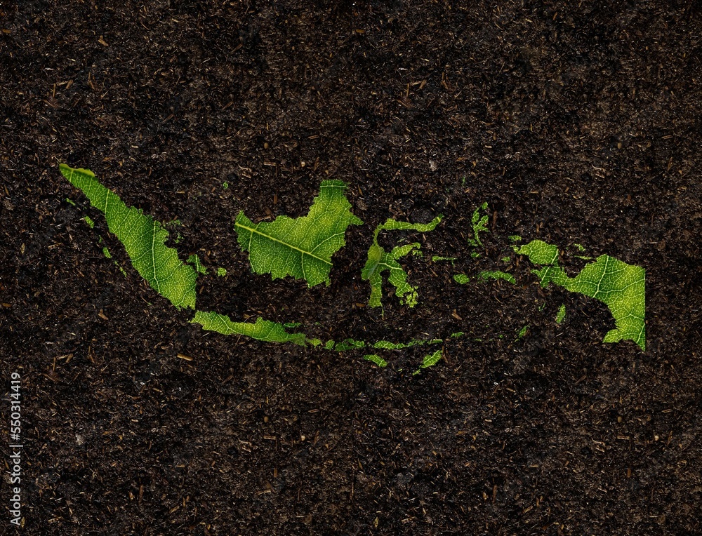 Illustrative leaf-textured Indonesia map-shaped map isolated on a soil ...