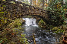 Rock Bridge And Fallen Tree In Fall Free Stock Photo - Public Domain ...