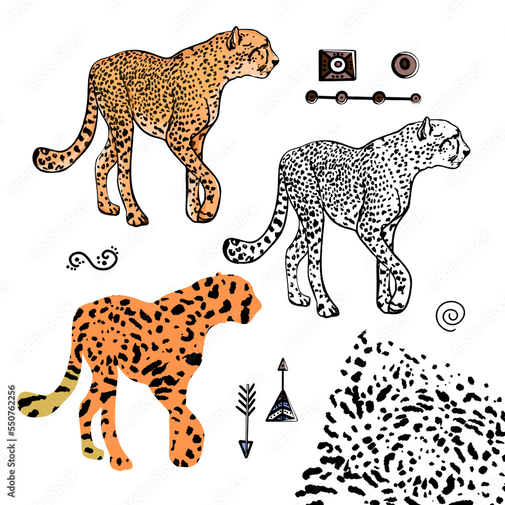 Cheetah head sketch vector graphics monochrome black-and-white drawing ...