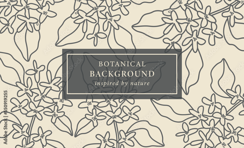 Line art osmanthus flower background Stock Vector | Adobe Stock