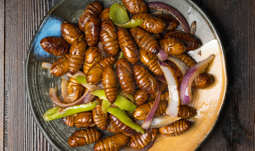 Stock-Foto „Stir-fried cocoon pupae is a special food in northeast ...
