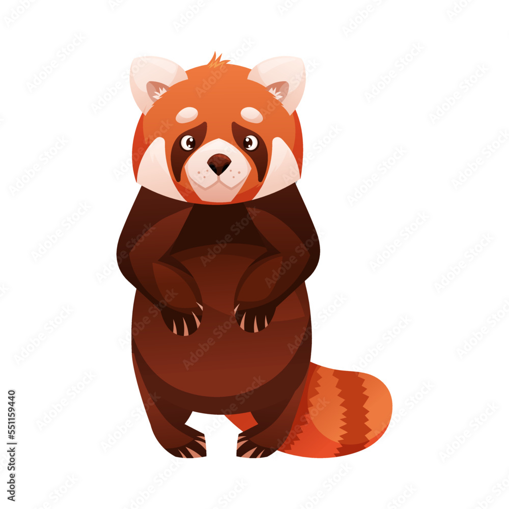 Adorable Red Panda as Small Fluffy Mammal with Dense Reddish-brown Fur ...