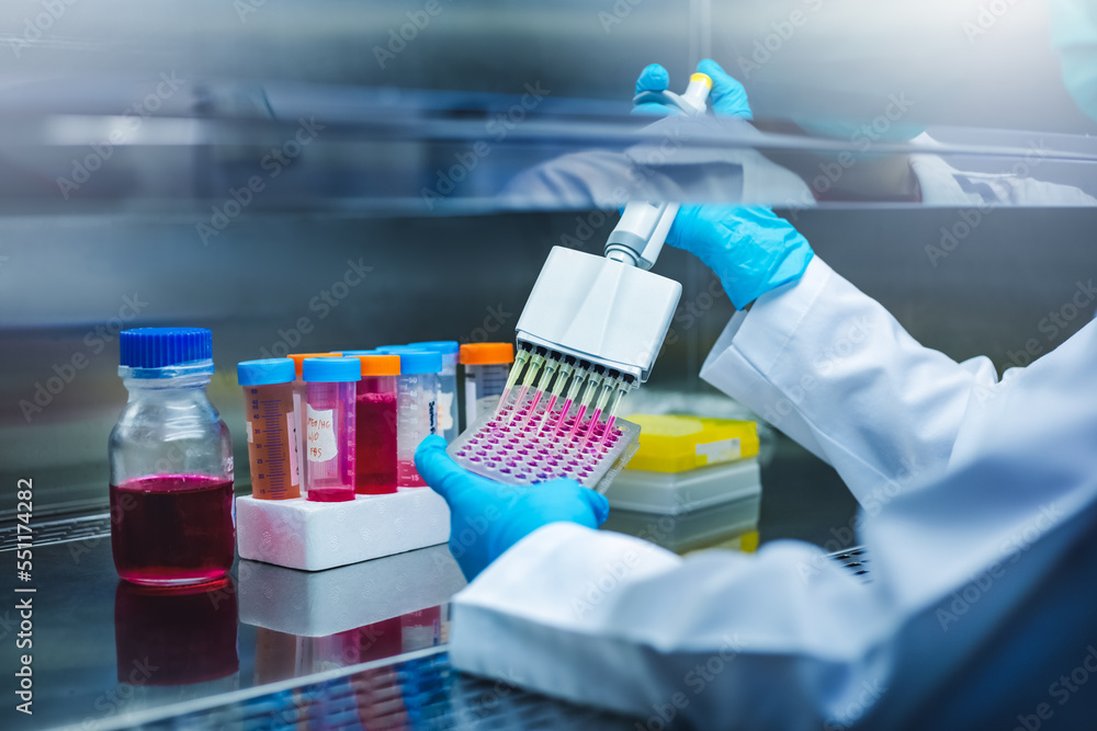 Scientist use multi pipette with sample preparation in the laboratory ...