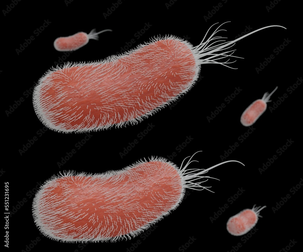 Ilustración de Stock Isolated Pseudomonas aeruginosa is a common ...