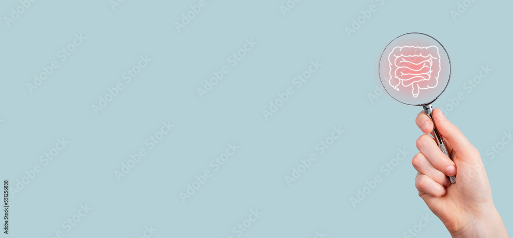 Intestine research, check-up, medical checkup concept. Gastrointestinal ...