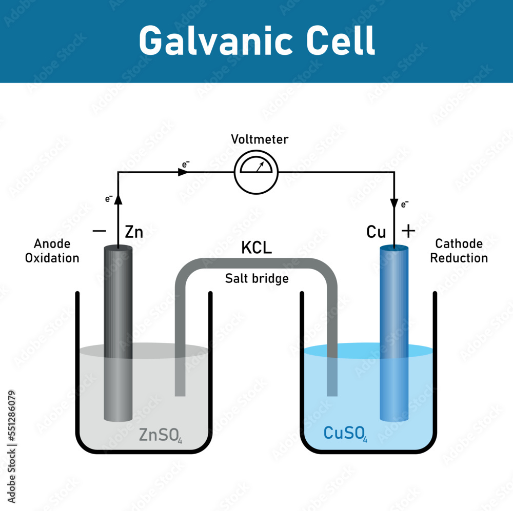 Electrochemical cell diagram. Galvanic cell or voltaic cell. Zinc anode and copper cathode ...