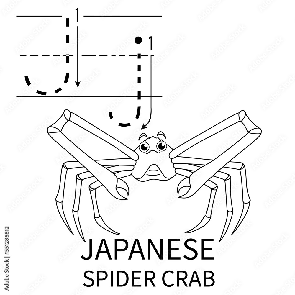 Cute Sea Animal Alphabet Series. J is for Japanese spider crab. Vector ...