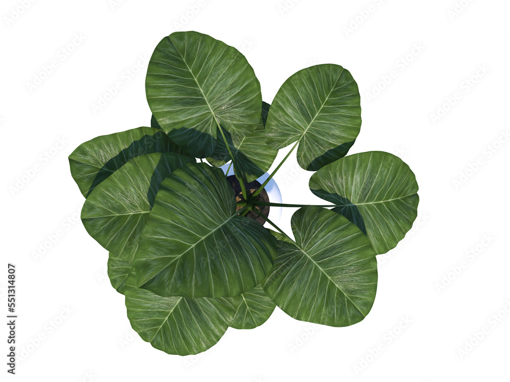 Potted Plant interior flower png alpha channel above Stock Illustration ...