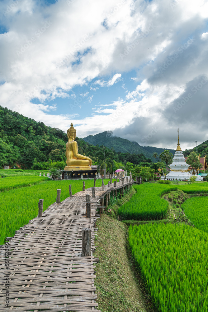 Buddha statue and white pagoda locate at the plantation of paddy field ...