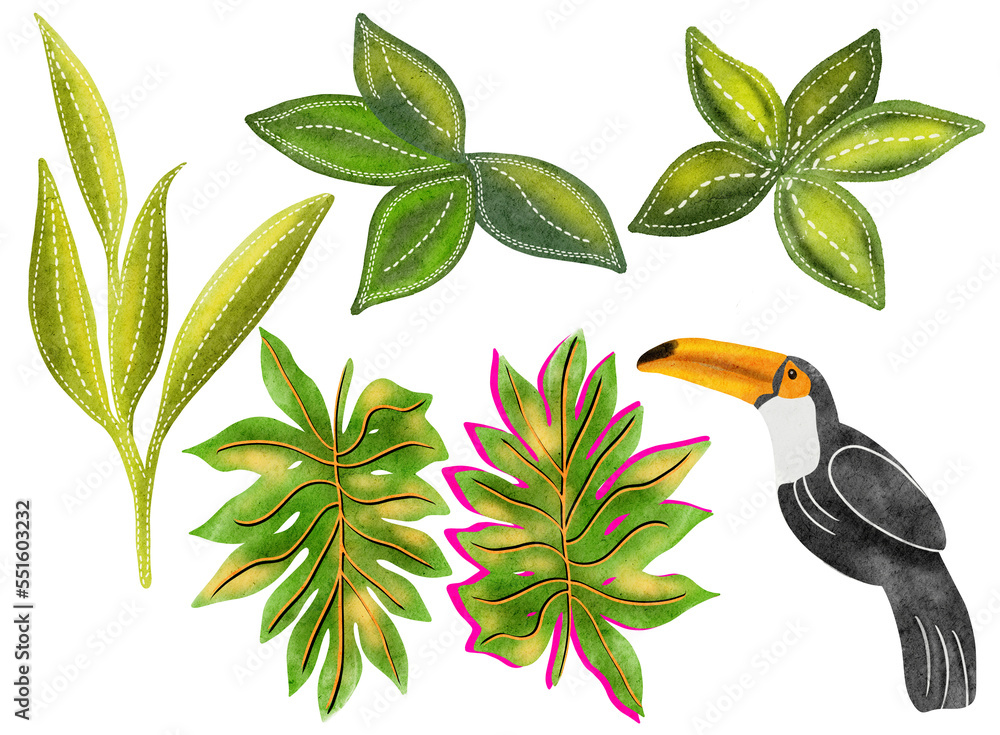 Tropical watercolor collection, leaves isolated on white background ...