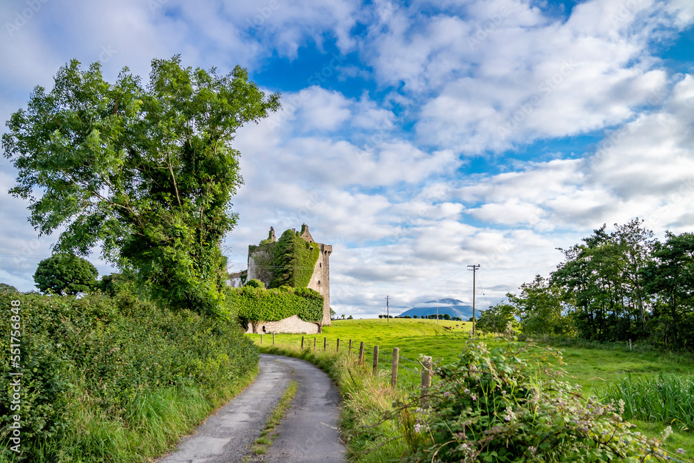 Deel castle, in Irish Caislean na Daoile, was built in the 16th century ...