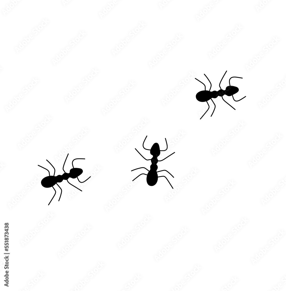 Vector isolated three simple minimal little black ants top view ...