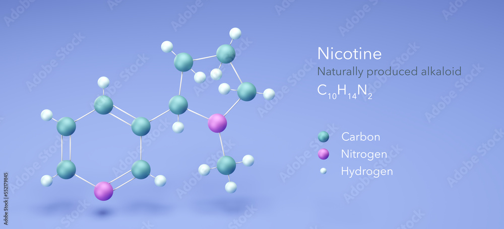 Nicotine, molecular structures, Naturally alkaloid, 3d model ...