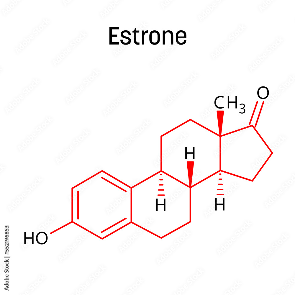 Image vectorielle Stock Estrone molecular structure. Estrone is a ...