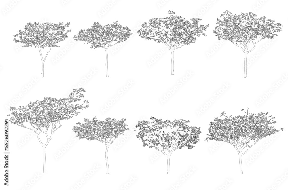 Minimal style cad tree line drawing, Side view, set of graphics trees ...