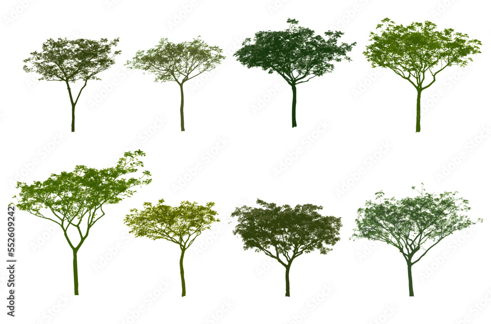 Vector tree green color, Side view, set of graphics trees elements ...