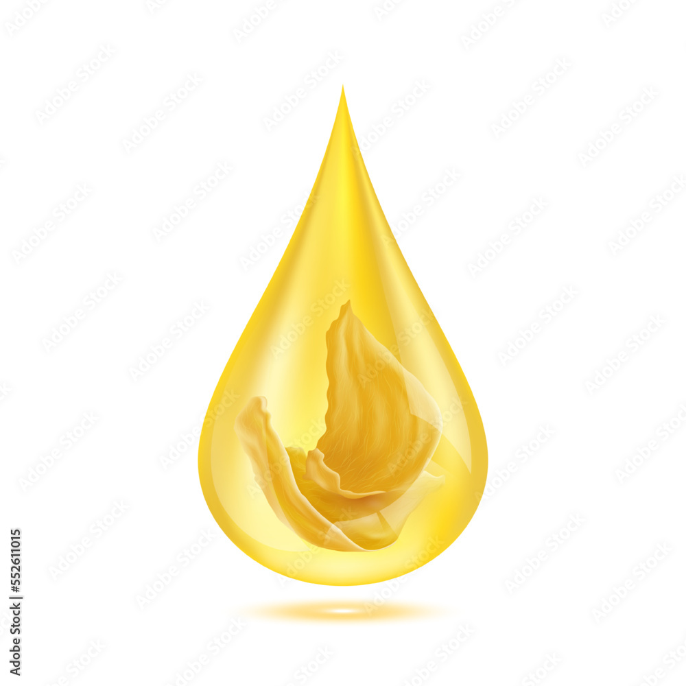 Edible Nest Swiftlet, Bird's nest in golden water drop. Isolated on ...