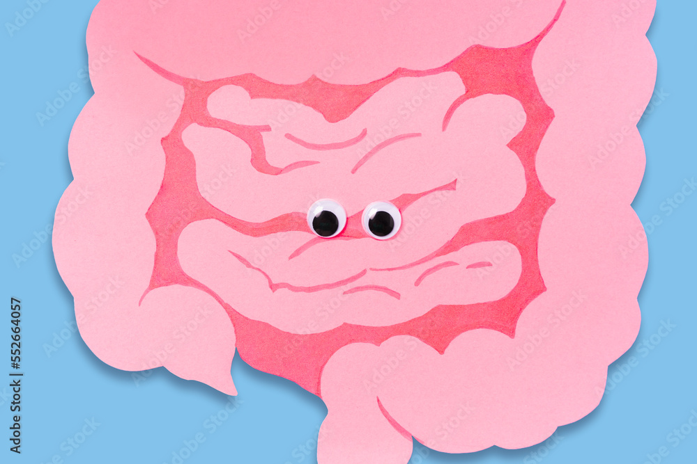 Healthy gut. Cute cartoon intestine with eyes. Healthy intestinal ...