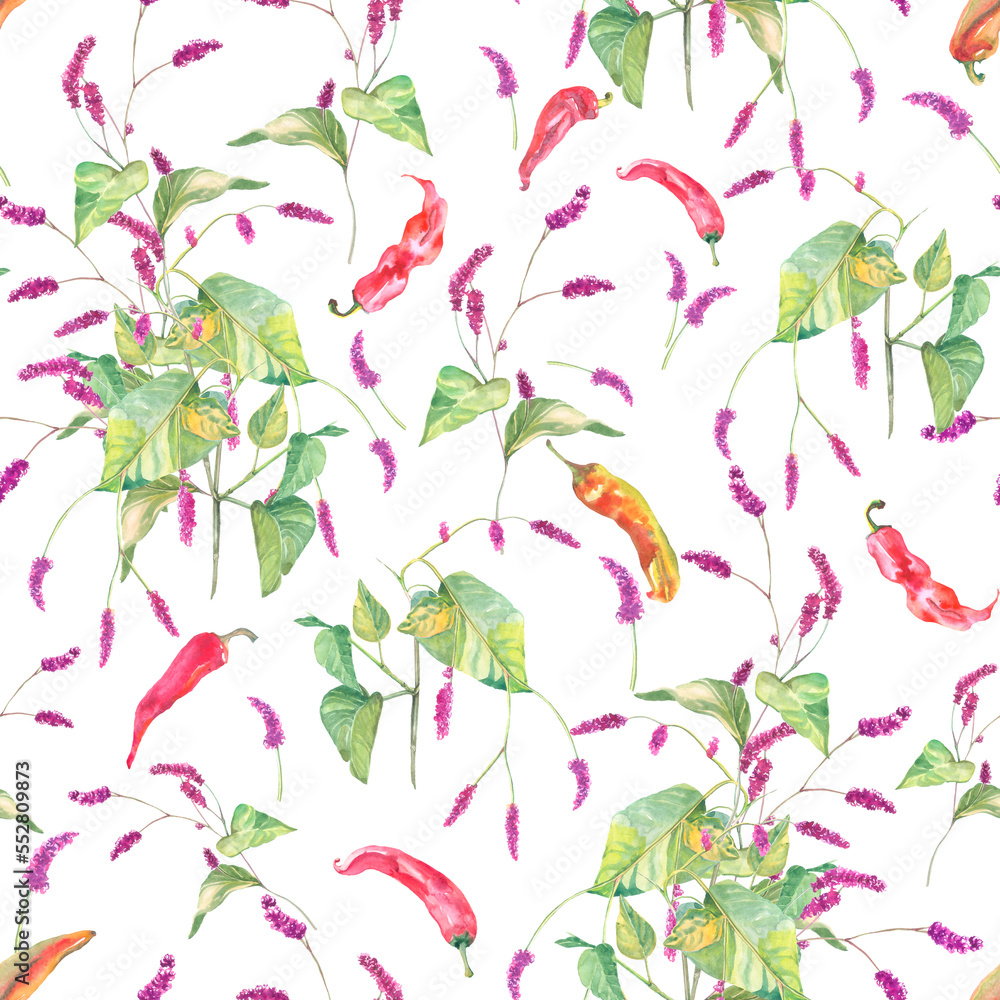 Watercolor flowers of amaranth and red chili peppers. Seamless pattern ...