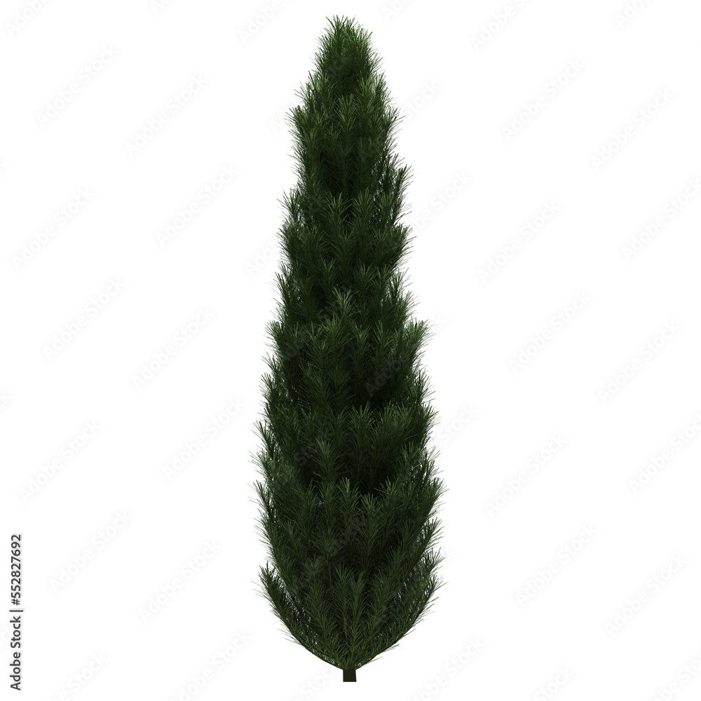 Generic Plant Tree PNG rendered in 4K Resolution for compositing and ...