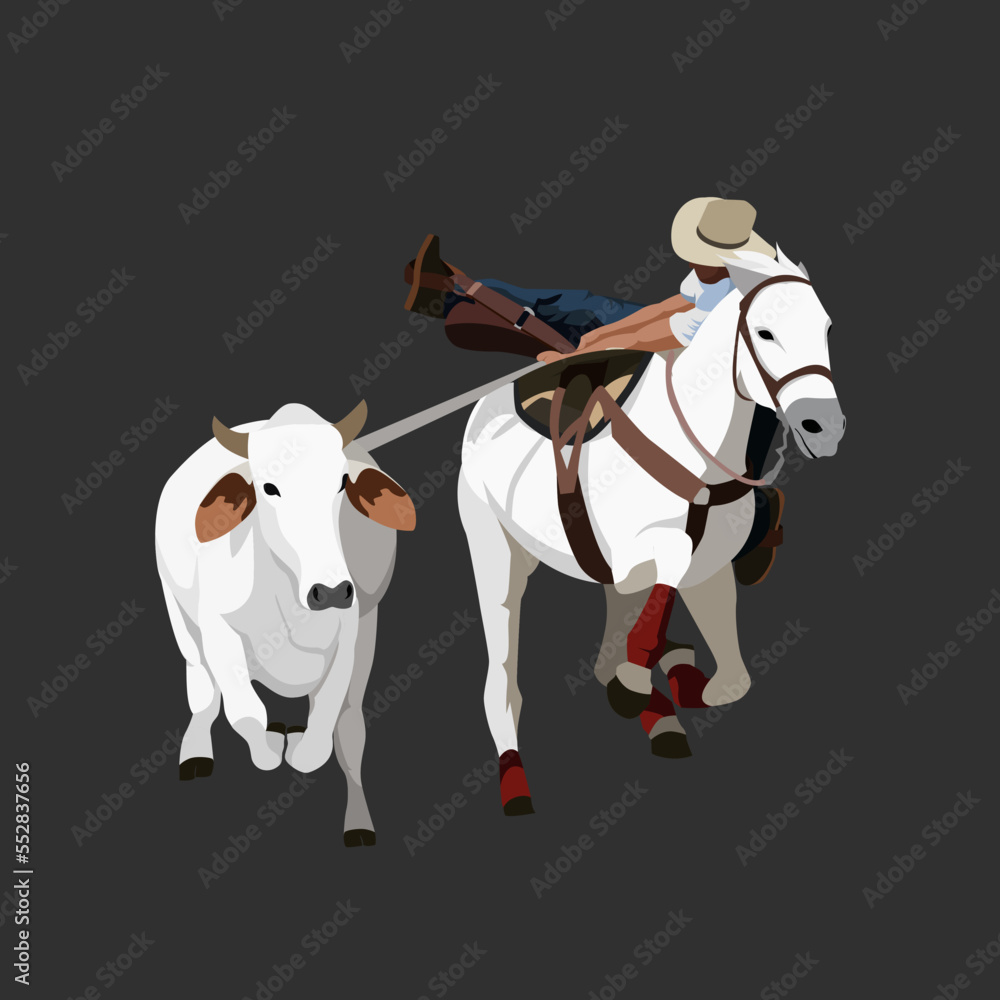 Coleo Llanero, persona coleando un animal, toro y caballo con jinete ...