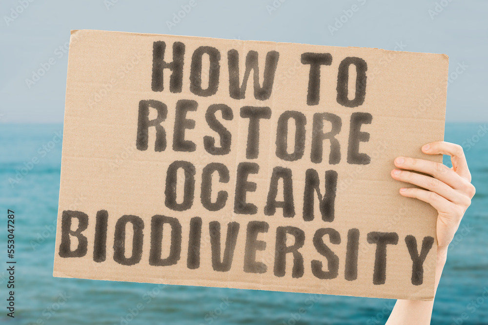 The phrase " How to restore ocean biodiversity " is on a banner in men ...