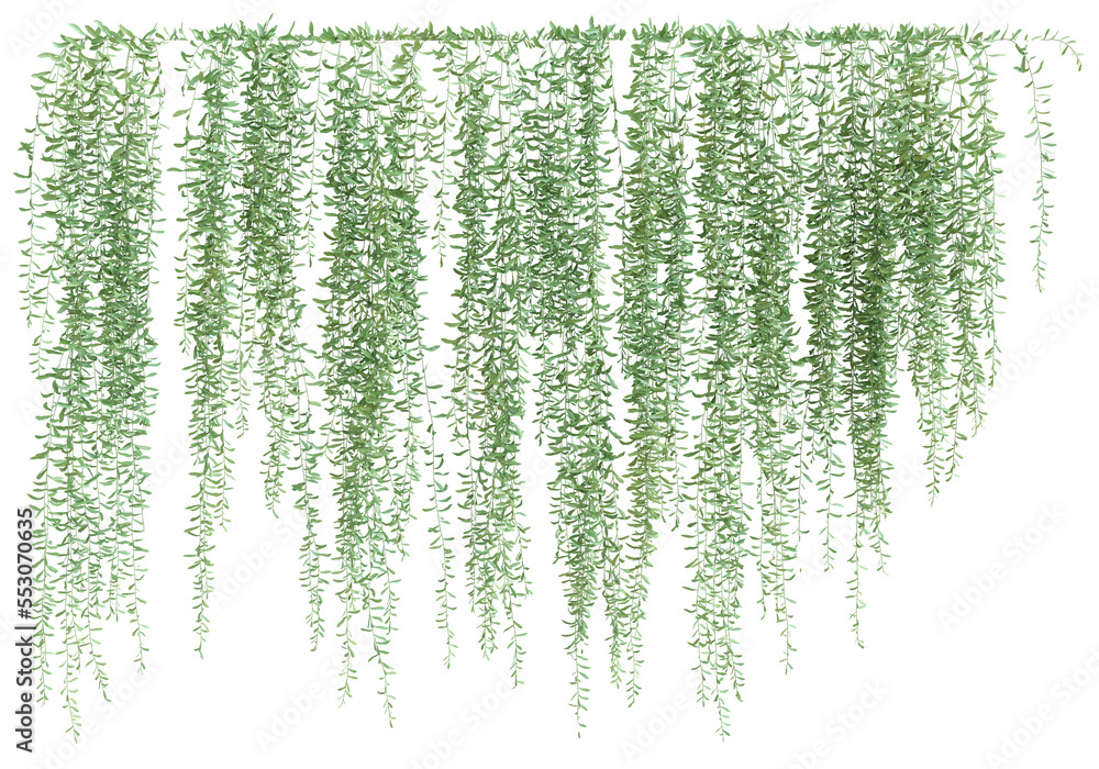 3D illustration of creeper plants on transparent background Stock ...