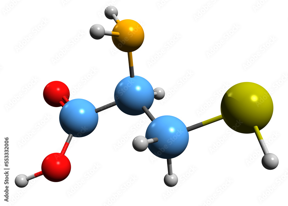 3D image of Cysteine skeletal formula - molecular chemical structure of ...
