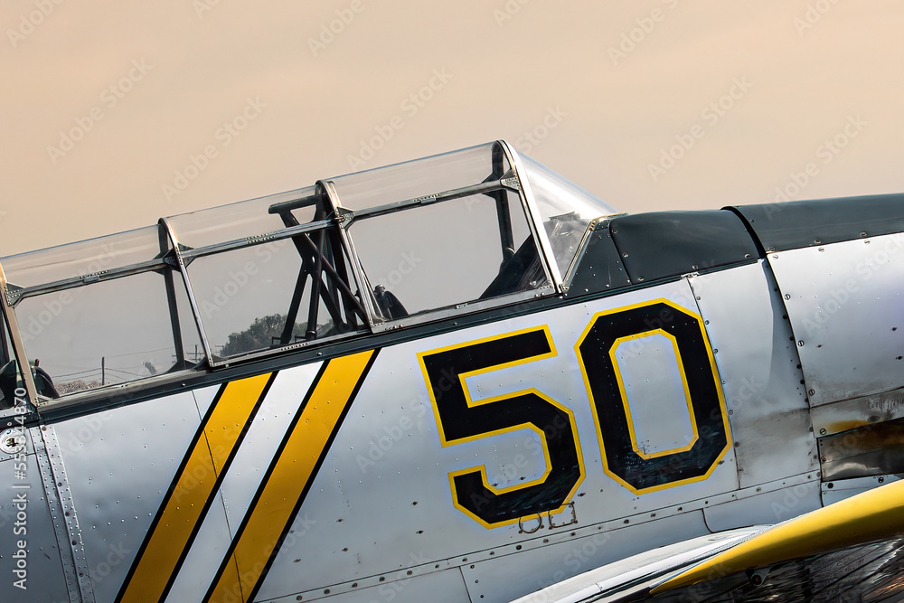 Nifty Fifity Classic American Warbird. Vintage livery paint scheme ...