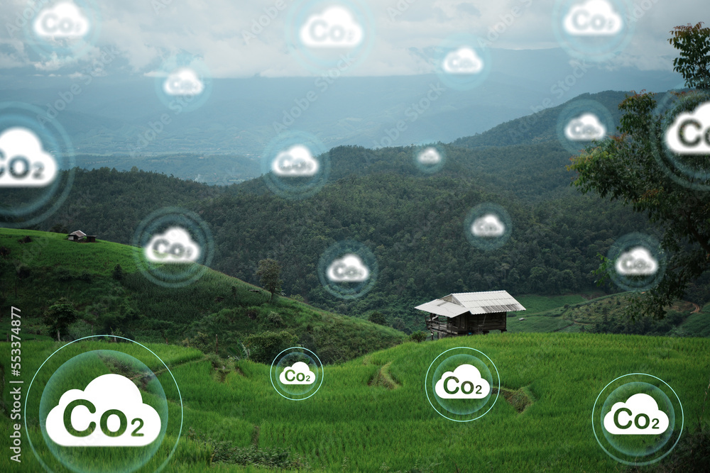 Foto de Stock Net Zero, co2 and Carbon Neutral Concepts Net Zero Emissions Goals Climate Neutral ...