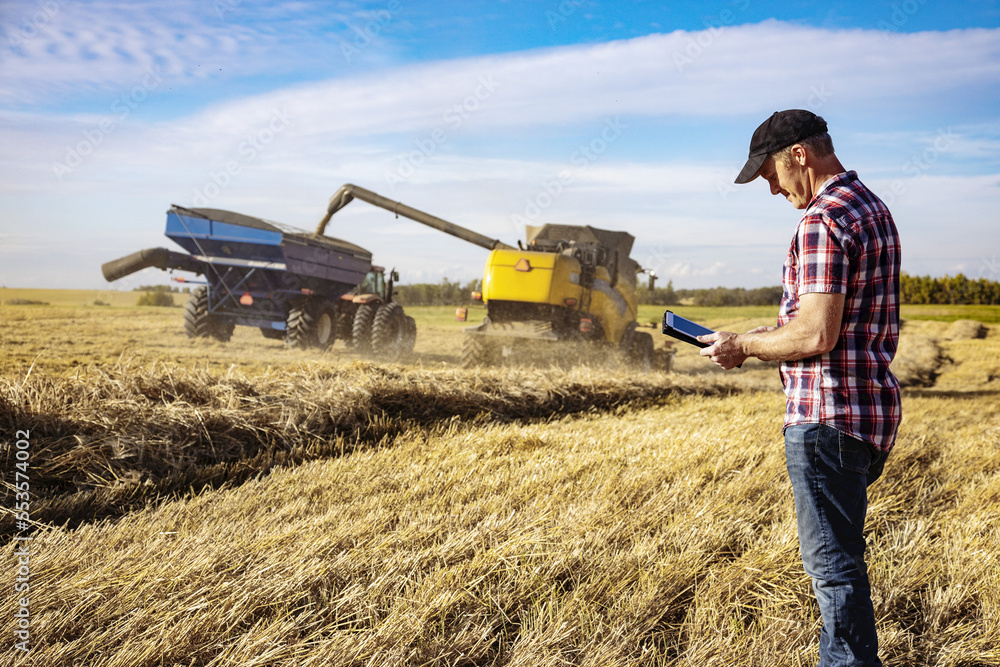A farmer using his tablet to help manage the wheat harvest while a ...
