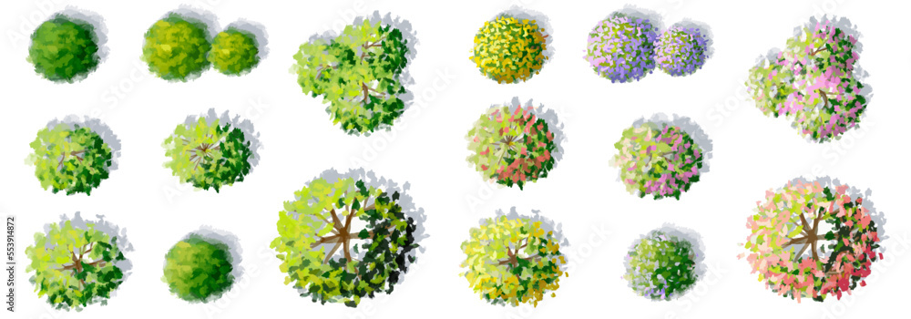 Vector watercolor of green tree top view isolated on white background ...