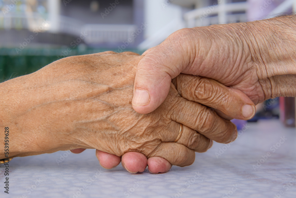 handshake with wrinkles between two elderly people with affectionate ...