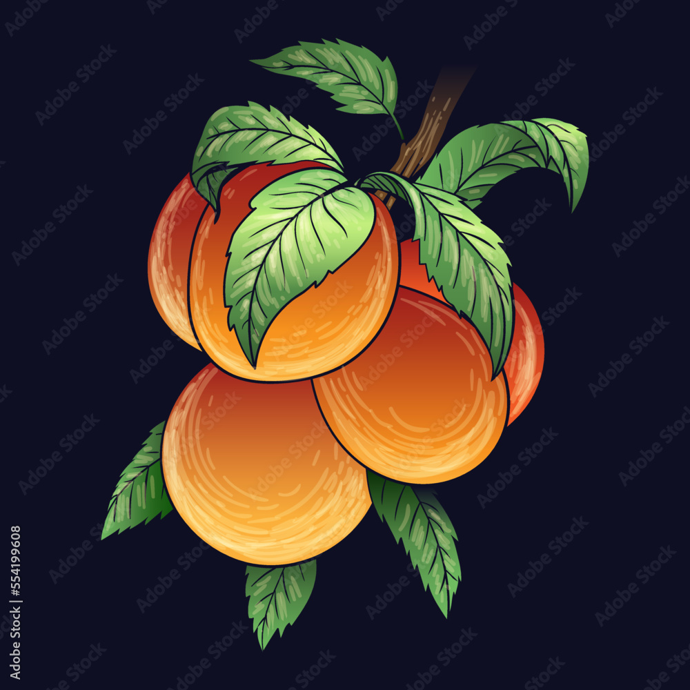 Cartoon nectarines branch Stock Vector | Adobe Stock