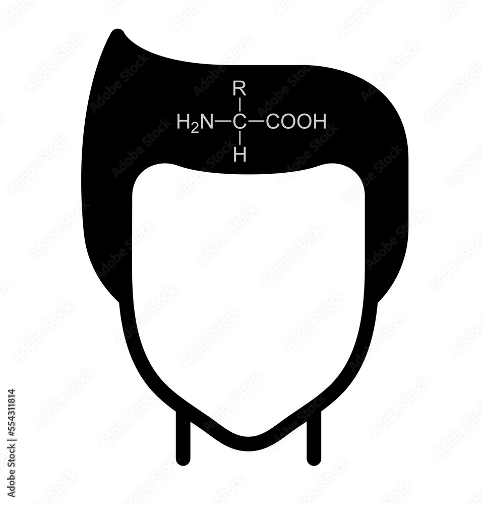 Amino acids are organic compounds that contain both amino and ...