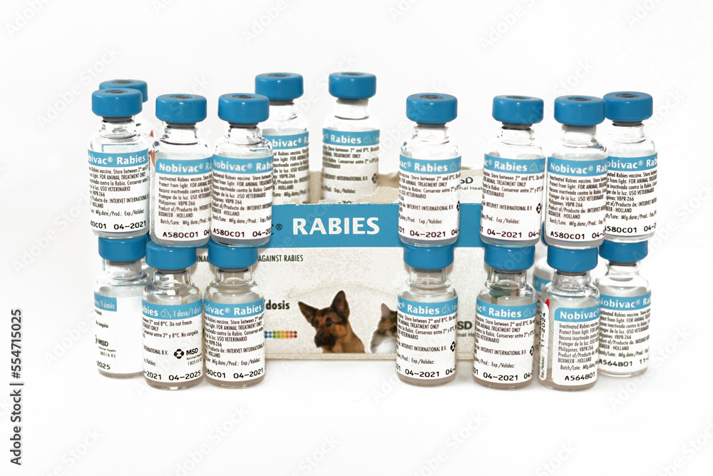 Cairo, Egypt, December 17 2022: Nobivac Rabies stable inactivated ...