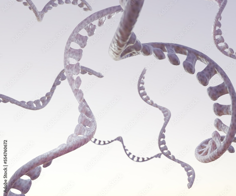 Ribonucleic acid or RNA is a nucleic acid present in all living cells ...