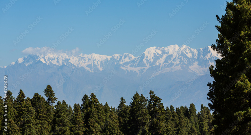 Mountain range next to Nanga Parbat mountain peak with forest from ...