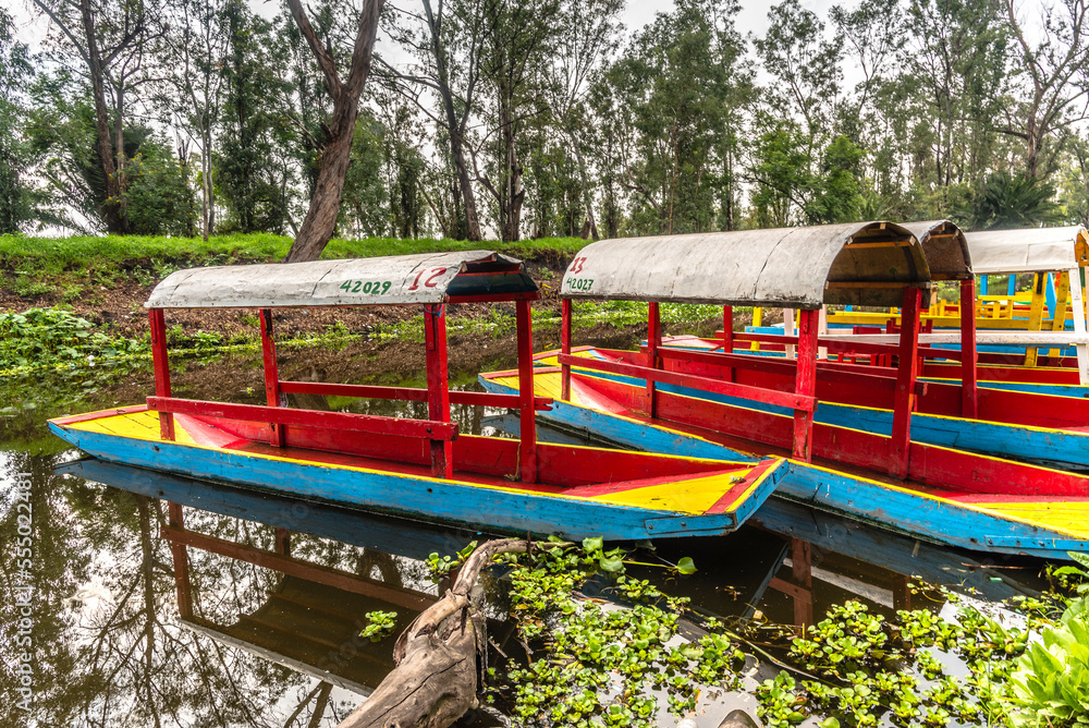 Traditional Mexican trajinera boat in Xochimilco channels and lake of ...
