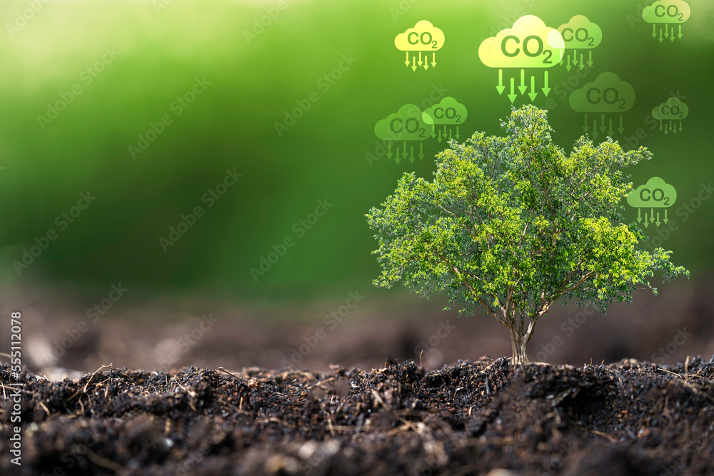 Photo Stock CO2 reducing icon with tree on greenery background for decrease CO2 , carbon ...