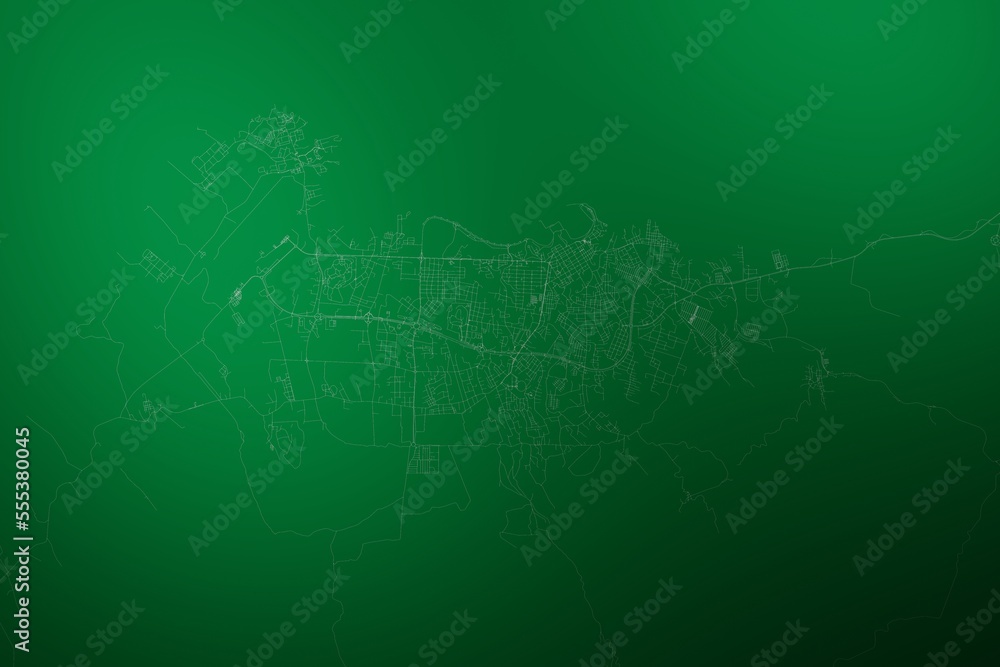 Map of the streets of Malabo (Equatorial Guinea) made with white lines ...