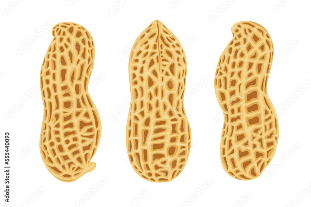 variety of peanuts Raw shelled peanuts of different shapes stand ...