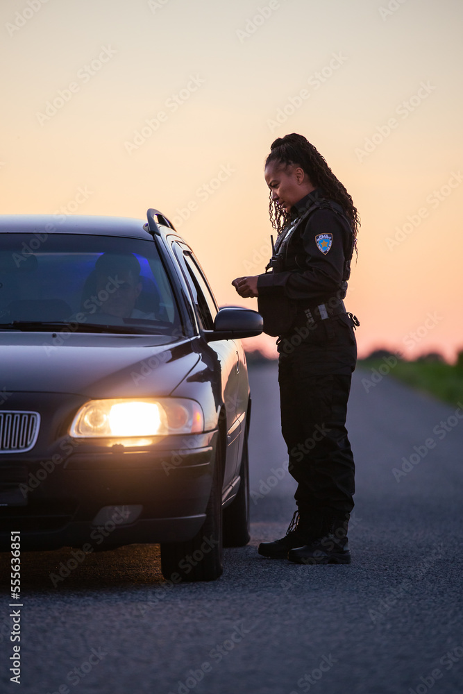 Highway Traffic Patrol Car Pull over, routine Check, Road Inspection ...