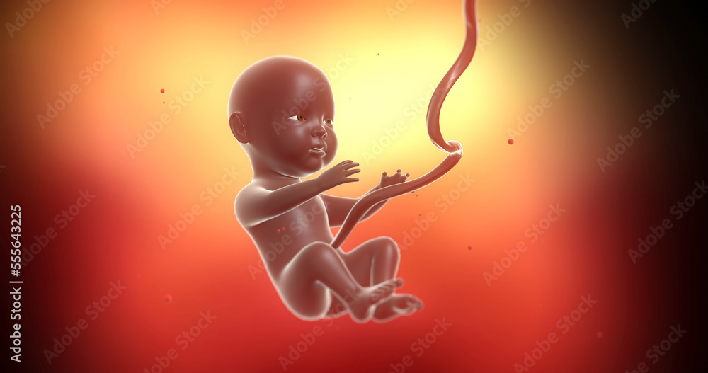 Un unborn black baby that develops and grows inside the uterus. Awake ...