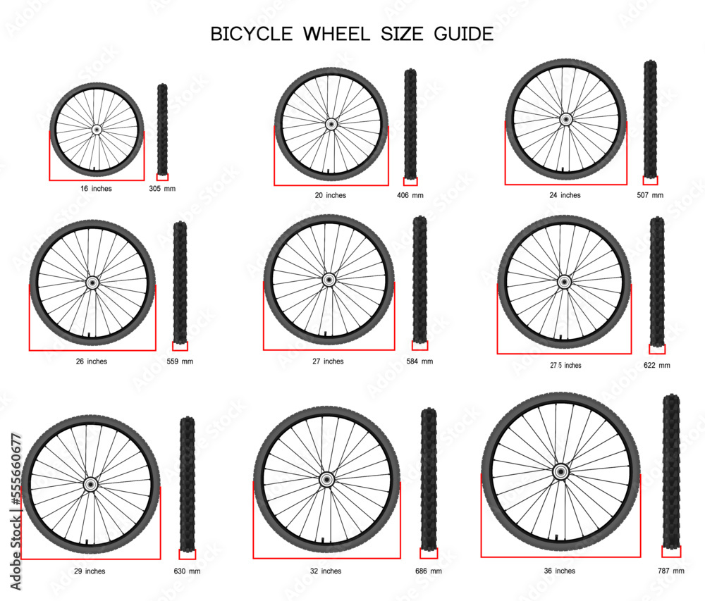 Bicycle wheel sizes guide, vector illustration Stock Vector | Adobe Stock