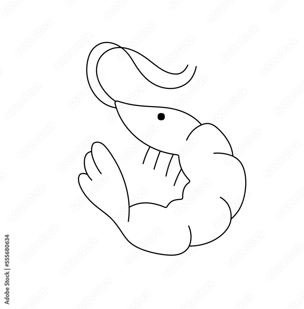 Vector isolated one cute cartoon small simple shrimp colorless black ...