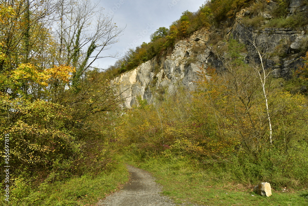 Végétation sauvage sur les parois rocheuses aux contreforts des rochers ...