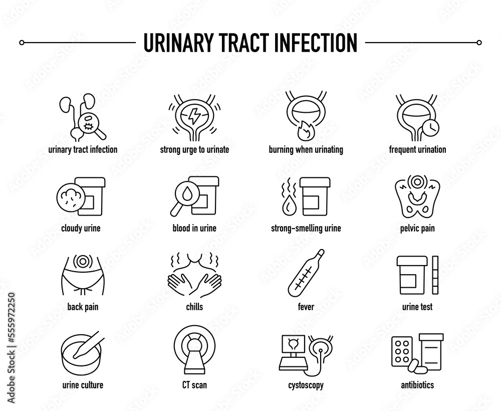 Urinary Tract Infection symptoms, diagnostic and treatment vector icon ...