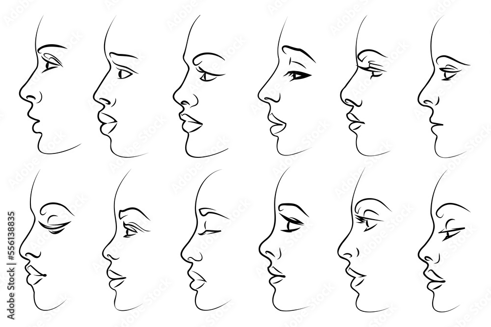 women profile portrait. Woman line art set with black thin line ...