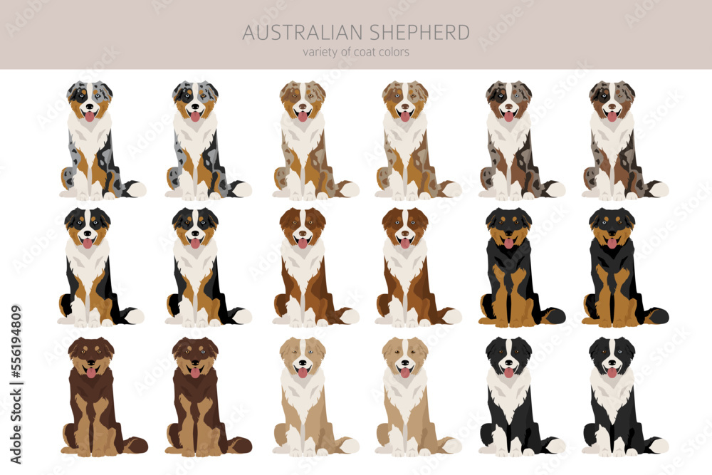 Australian shepherd clipart. Coat colors Aussie set. All dog breeds ...